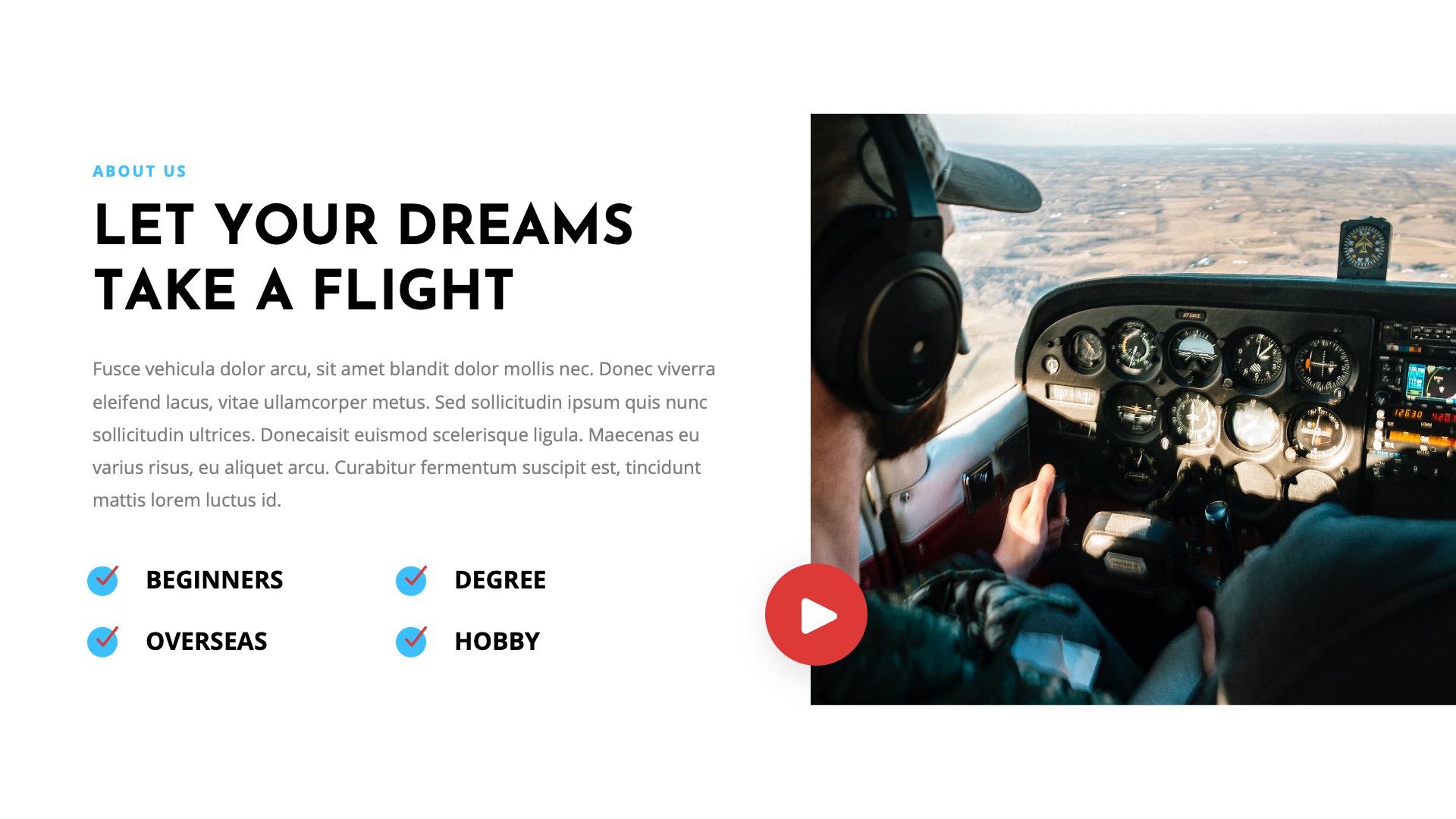 AVIATOR - Aviation & Flight School Google Slides Template, Presentation ...