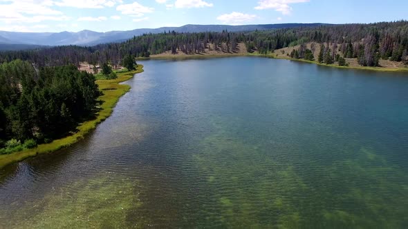 Drone footage of Lyman Lake and surrounding forest in Utah, Stock Footage