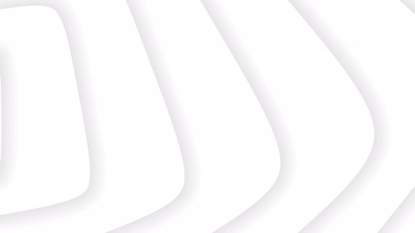 White Background, Motion Graphics | VideoHive