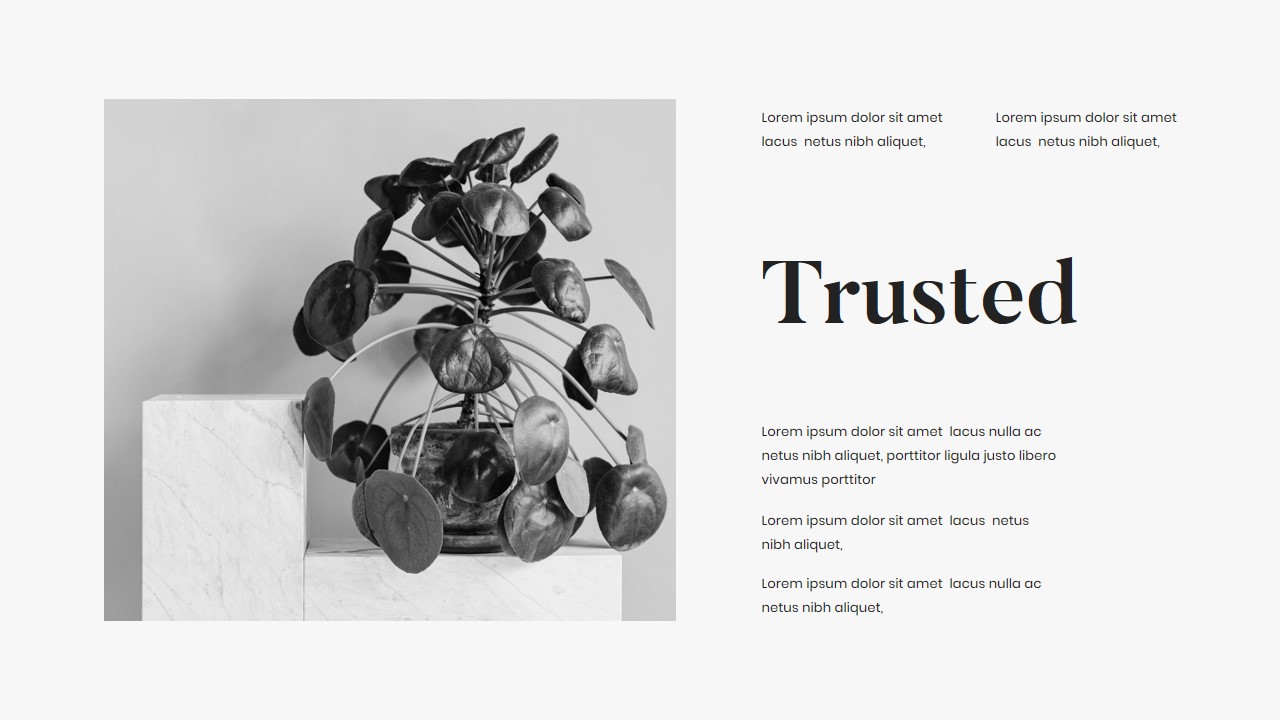 Black Grey - PowerPoint, Presentation Templates | GraphicRiver