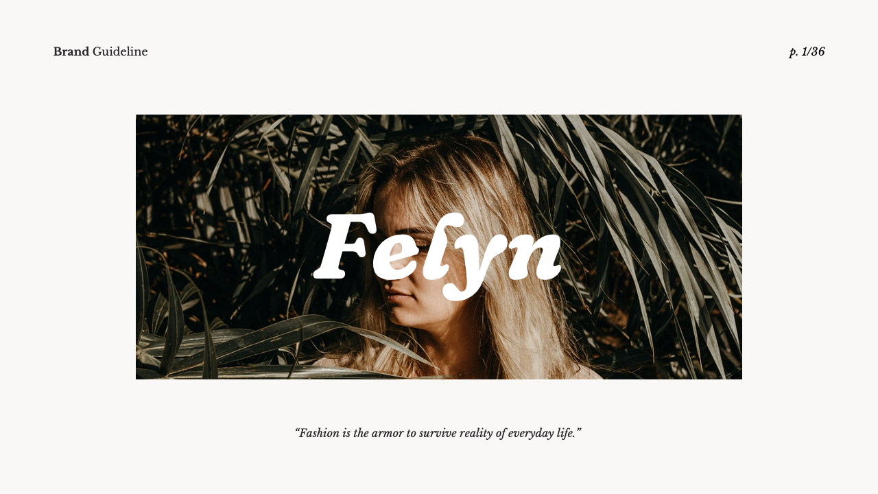 Felyn - Brand Guideline PowerPoint Template, Presentation Templates