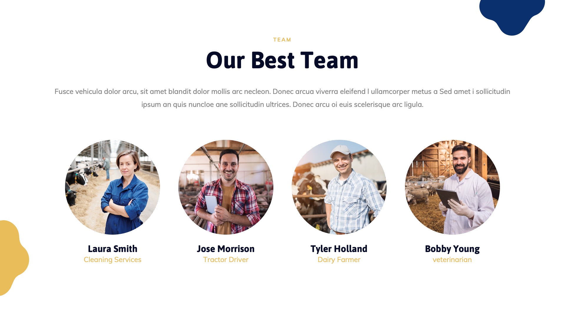 Saphie - Dairy Farm & Milk Powerpoint Template, Presentation Templates