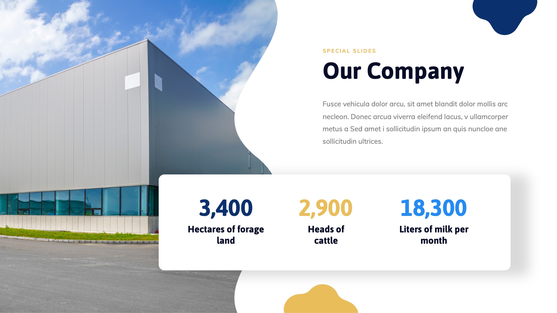 Saphie - Dairy Farm & Milk Powerpoint Template, Presentation Templates