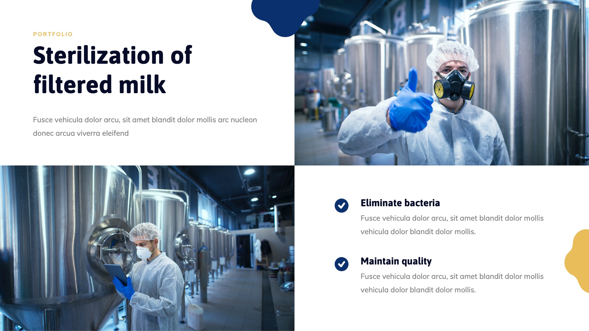 Saphie - Dairy Farm & Milk Powerpoint Template, Presentation Templates