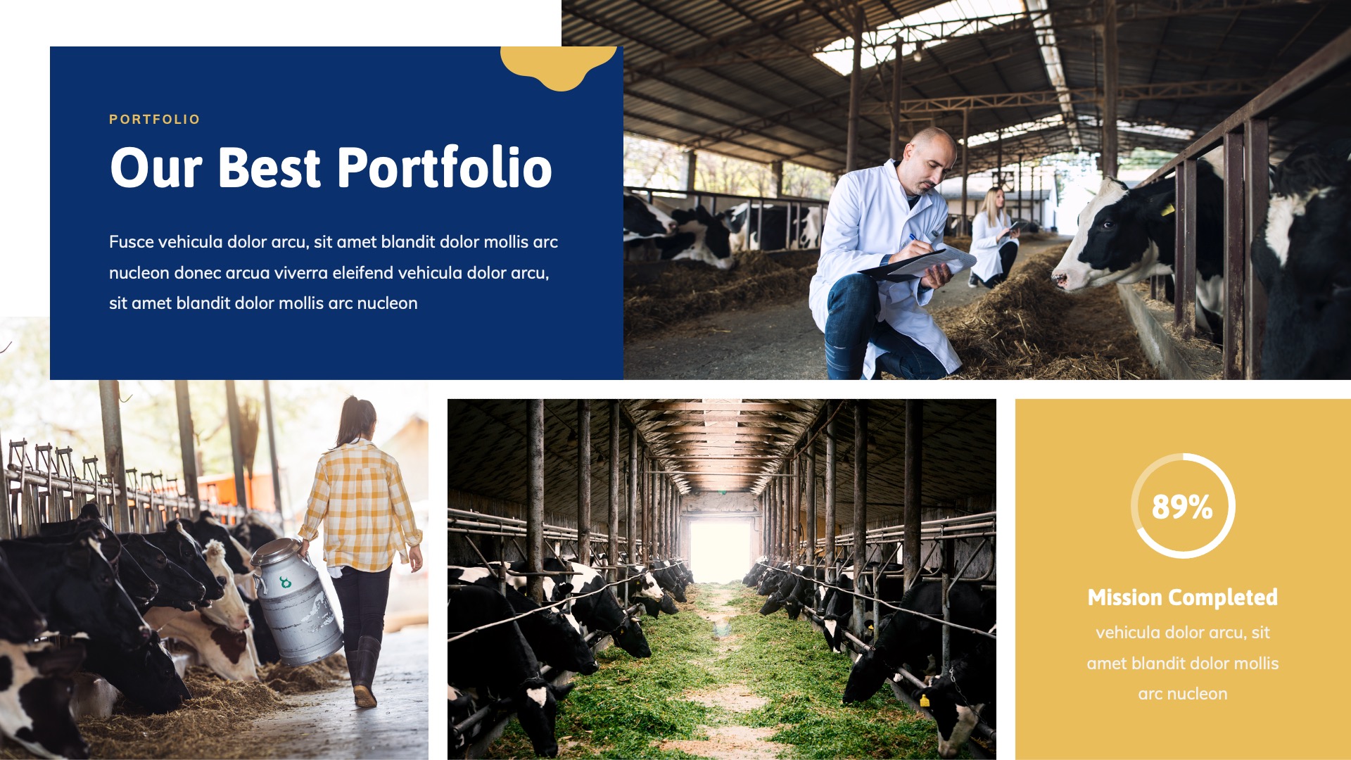 Saphie - Dairy Farm & Milk Powerpoint Template, Presentation Templates