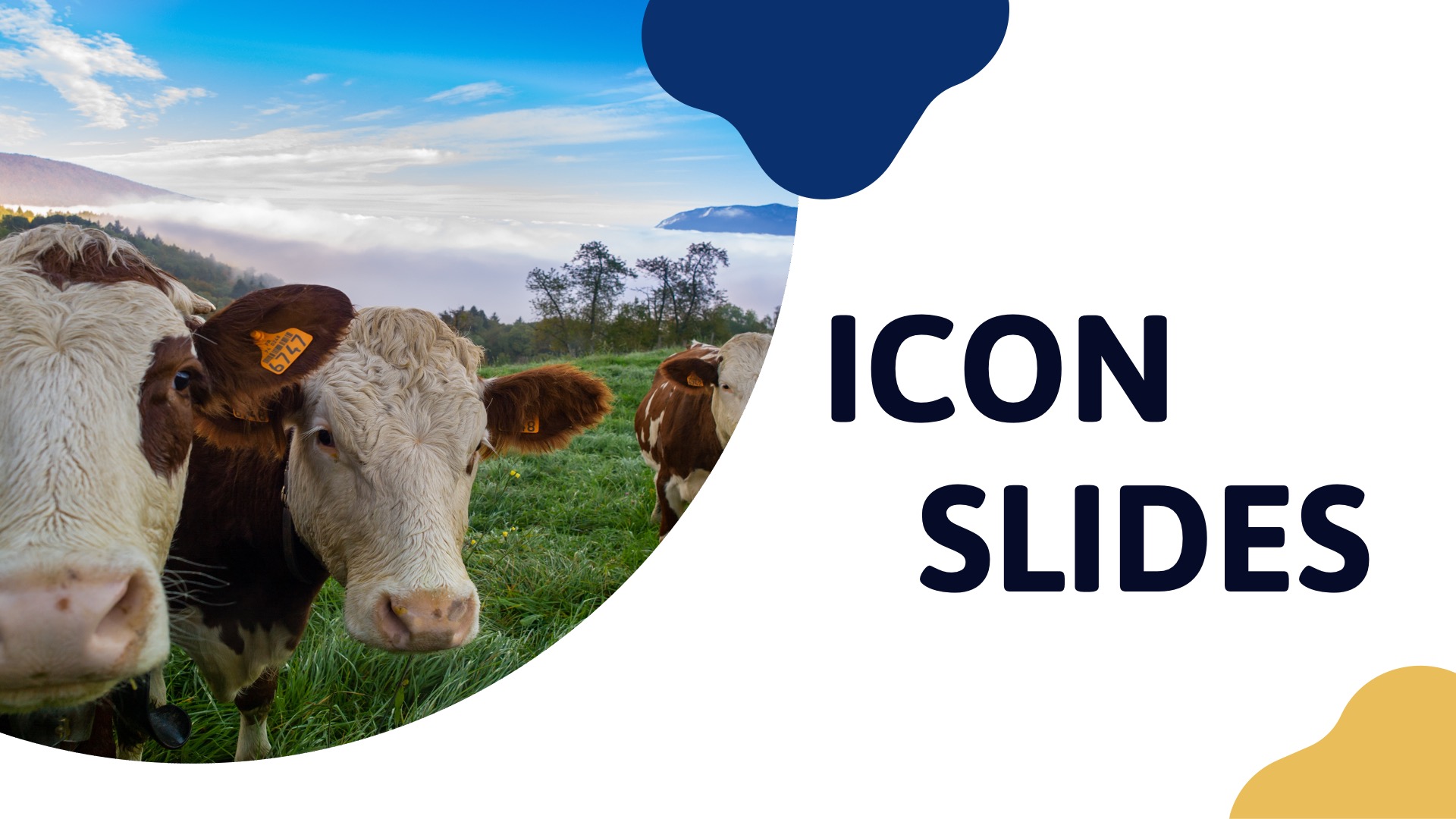 Saphie - Dairy Farm & Milk Powerpoint Template, Presentation Templates