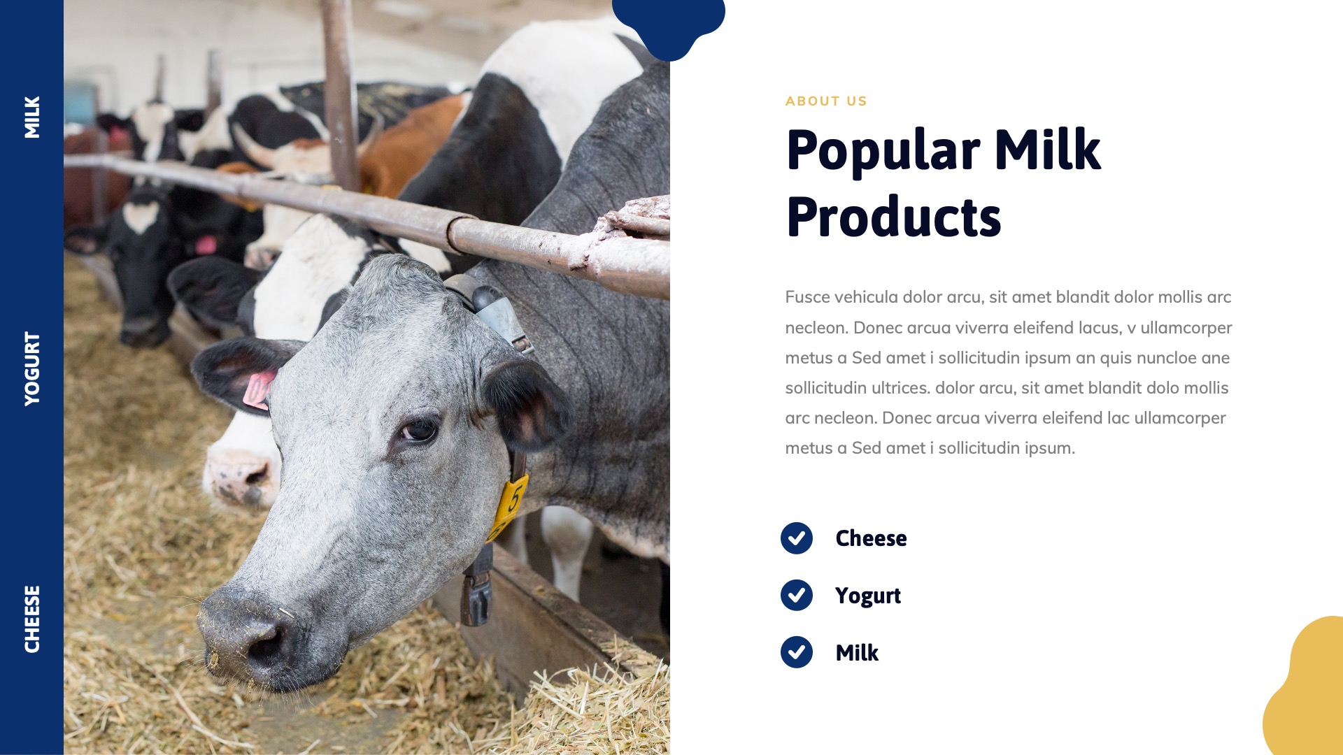 Saphie - Dairy Farm & Milk Powerpoint Template, Presentation Templates
