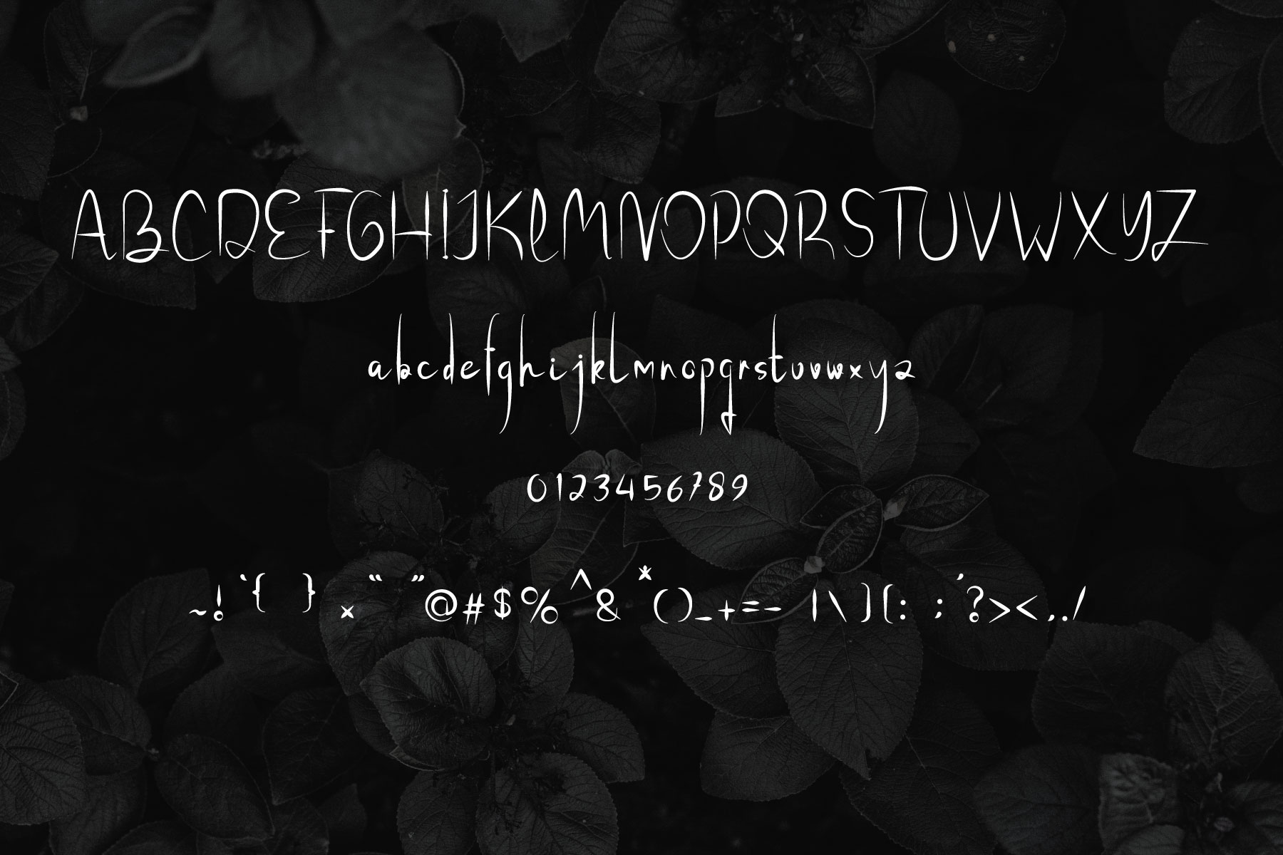 frigid, Fonts | GraphicRiver