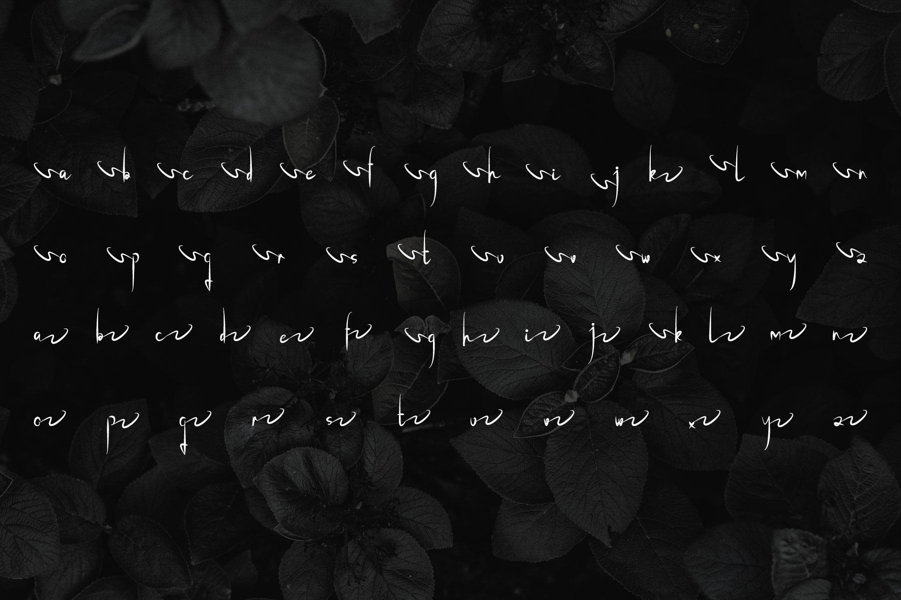 frigid, Fonts | GraphicRiver