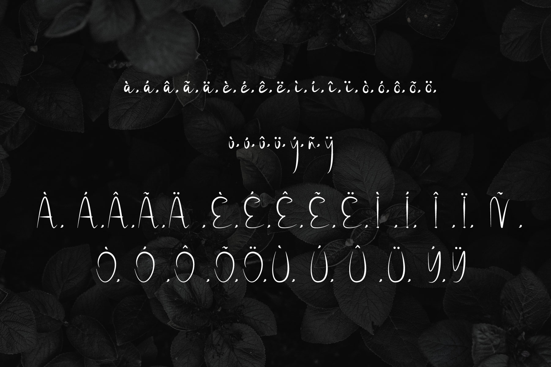 frigid, Fonts | GraphicRiver