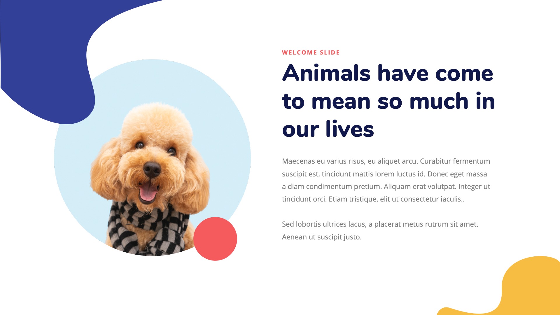 Petsnia - Petcare & Veterinary Powerpoint Template, Presentation Templates