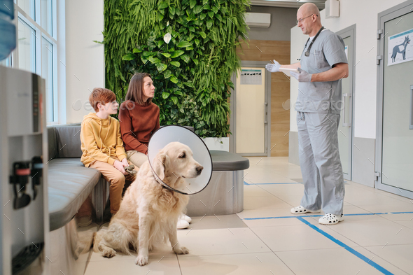 Conversation with the vet Stock Photo by Pressmaster | PhotoDune