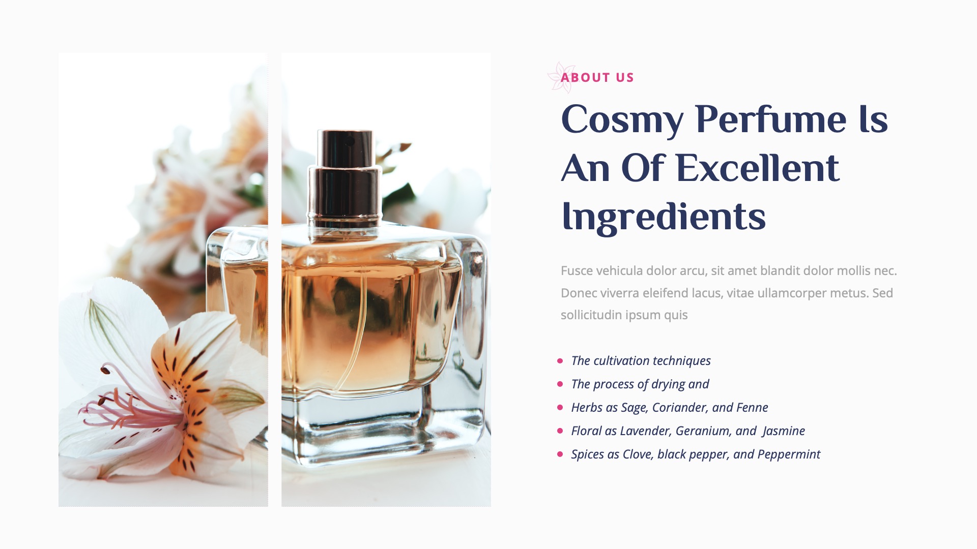 COSMY - Perfume & Cosmetic Powerpoint Template, Presentation Templates