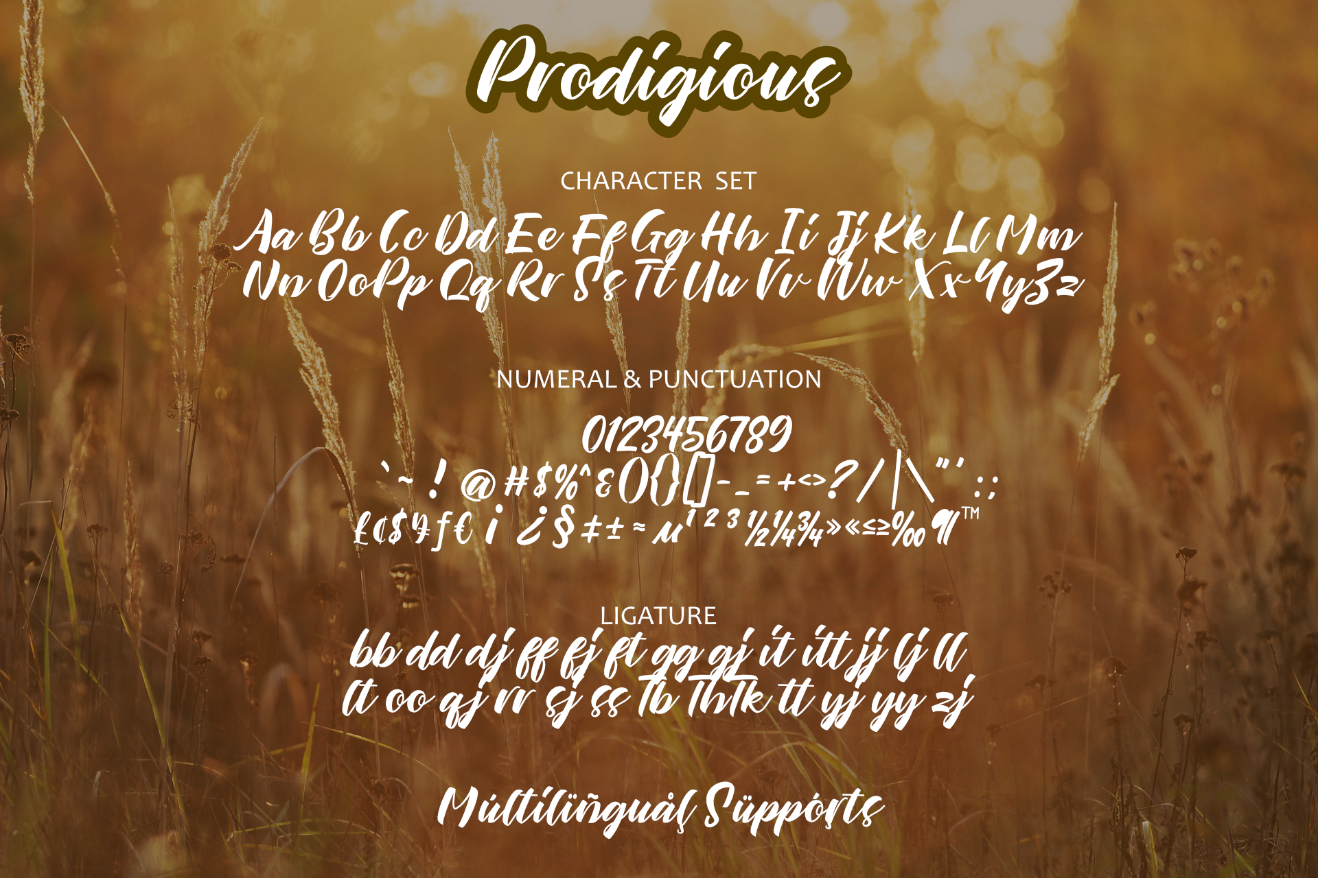 Prodigious, Fonts | GraphicRiver