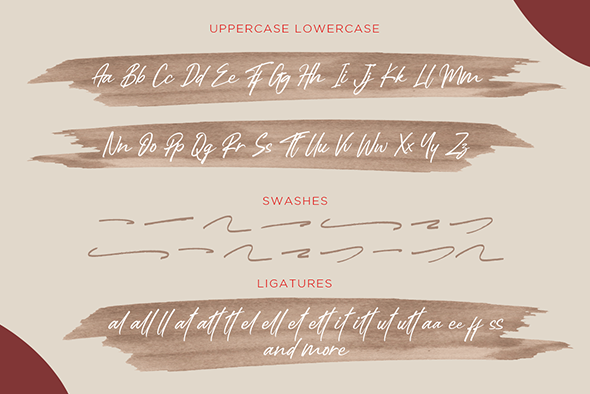 Right Female / Elegant Bold Script, Fonts | GraphicRiver