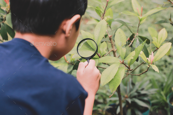 Boy Using Magnifying Glass to Observing Leaves Stock Photo by Garakta ...