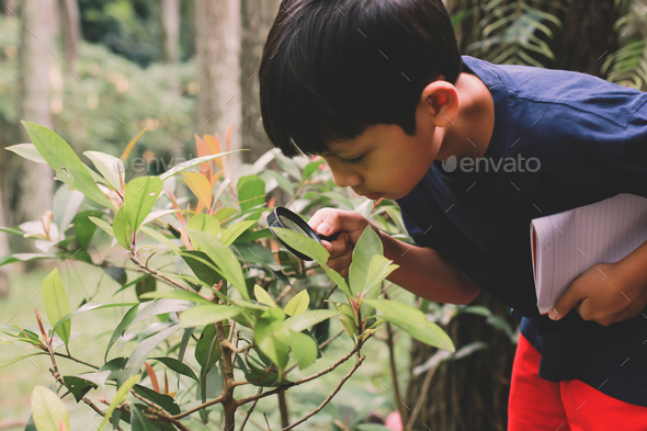 Student Observing Plant using Magnifying Glass Stock Photo by Garakta ...