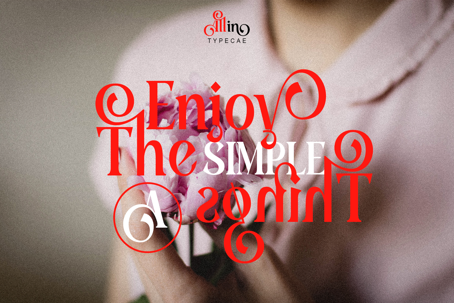 All in Display, Fonts | GraphicRiver