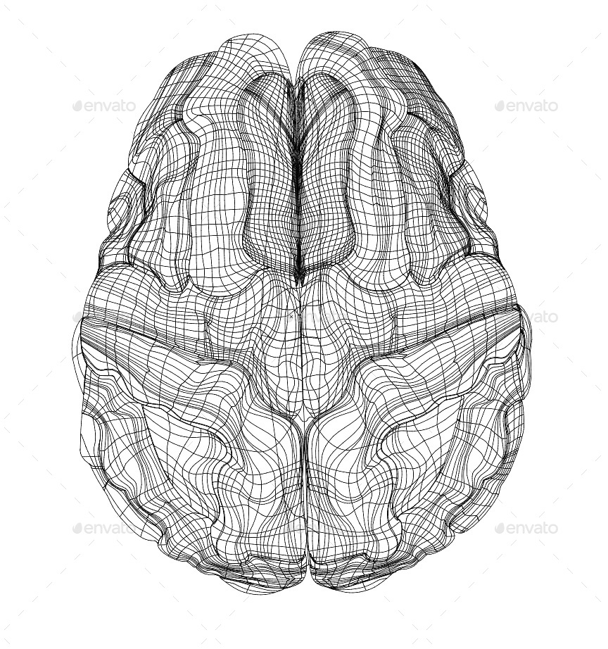 Vector Brain With Colored Waves, Vectors | GraphicRiver