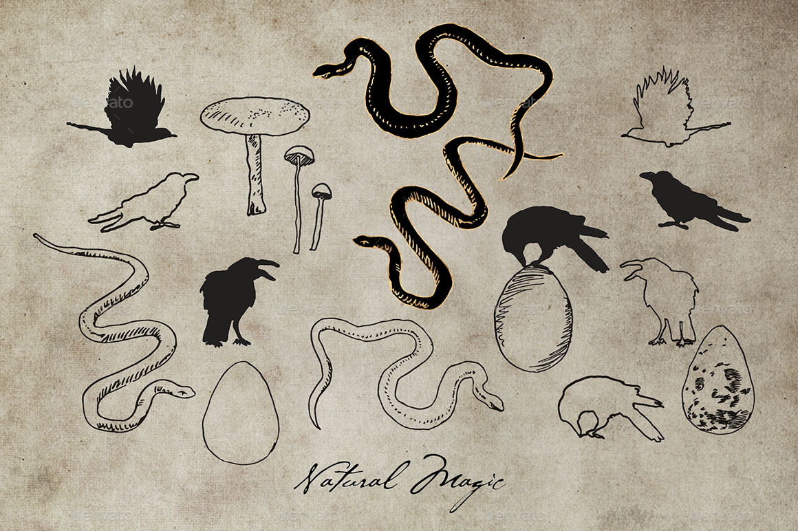 Mystic Digital Graphics Design Set - Astrology, Tarot, Witchcraft ...