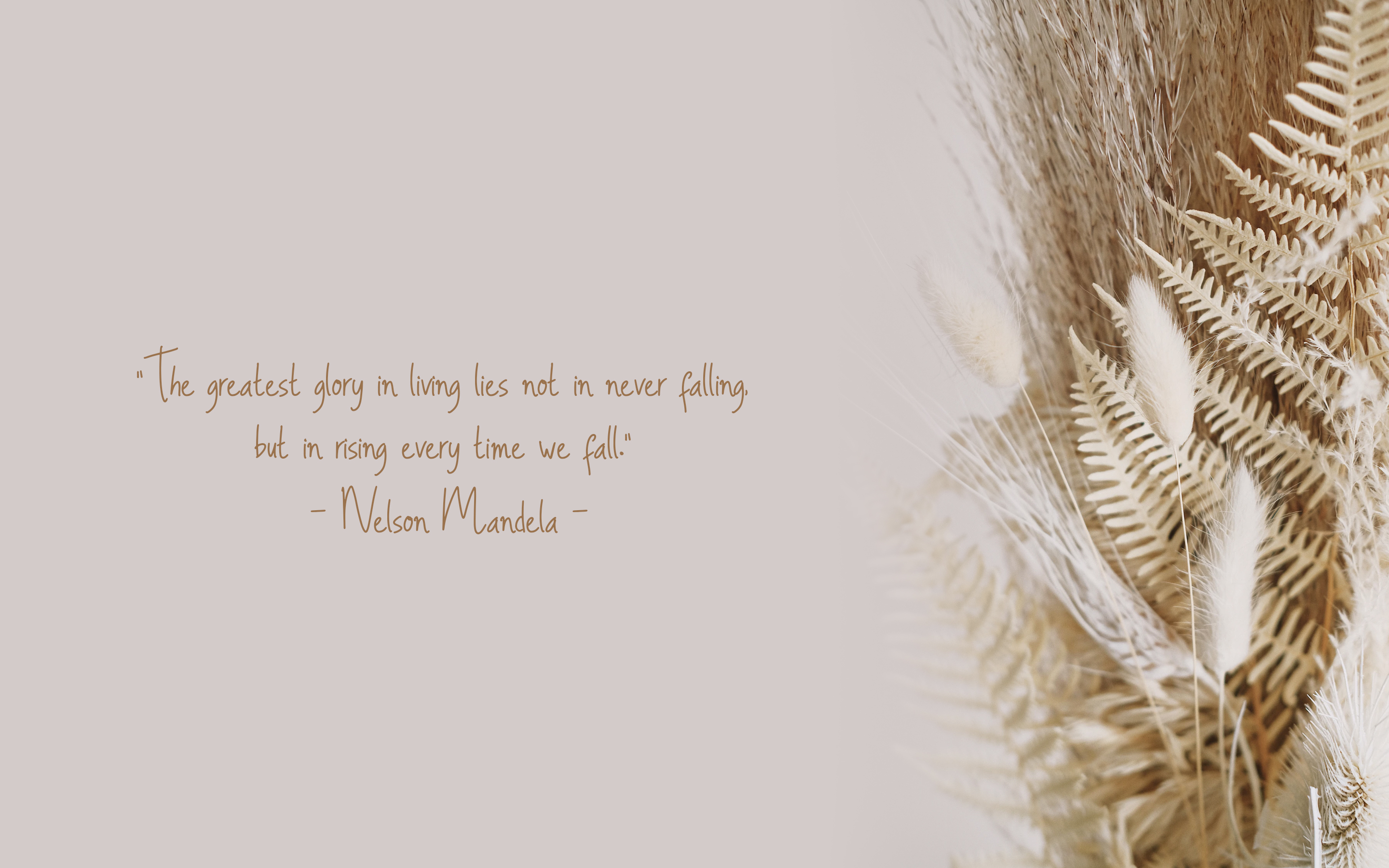 Alexandra Signature Natural Handwritten Font, Fonts | GraphicRiver