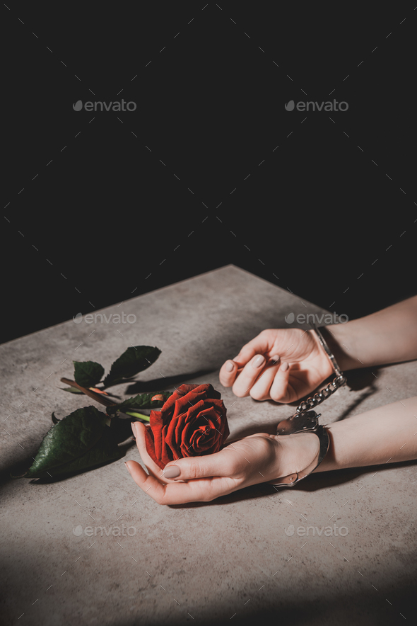 partial view of woman in metal handcuffs holding red rose flower ...