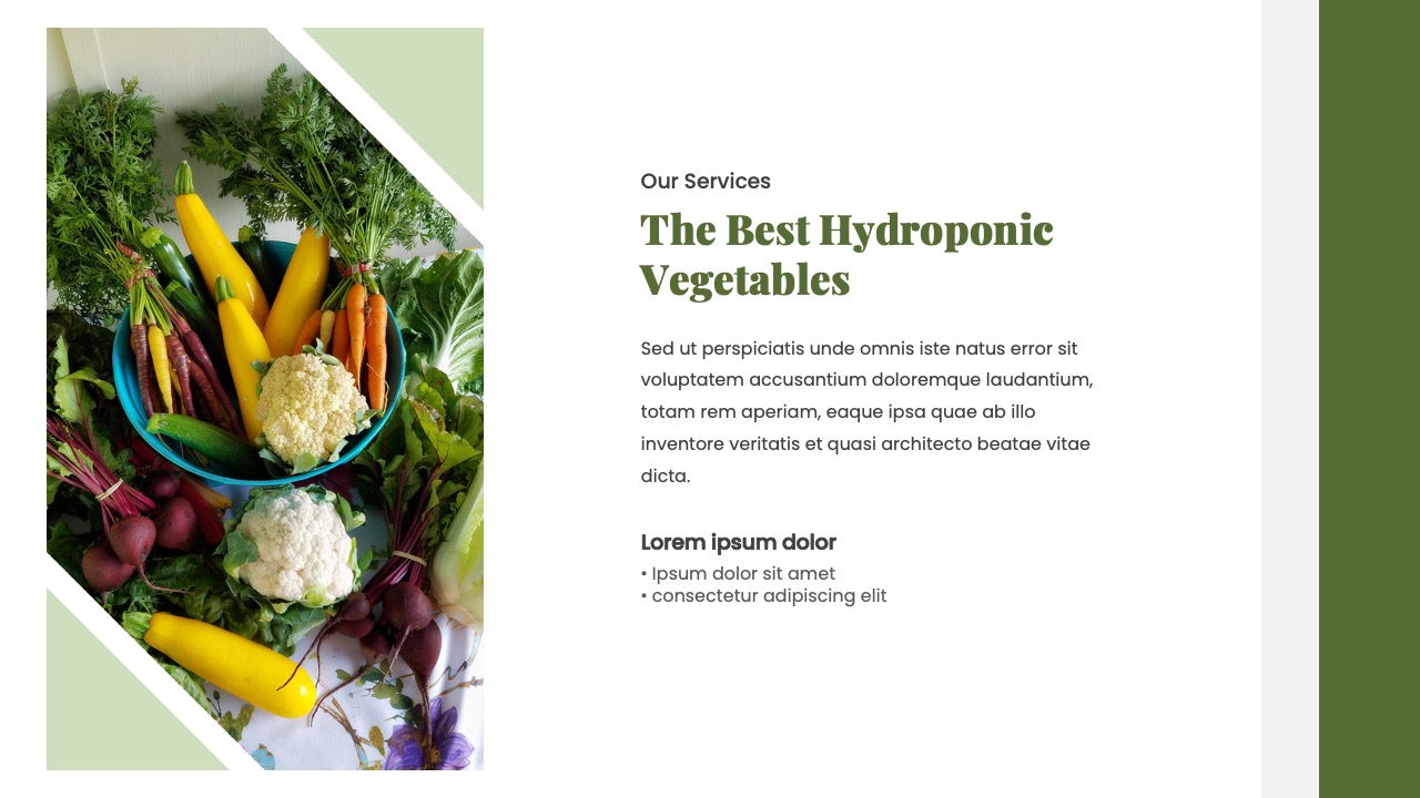 Vegeta - Vegetables PowerPoint Template, Presentation Templates ...