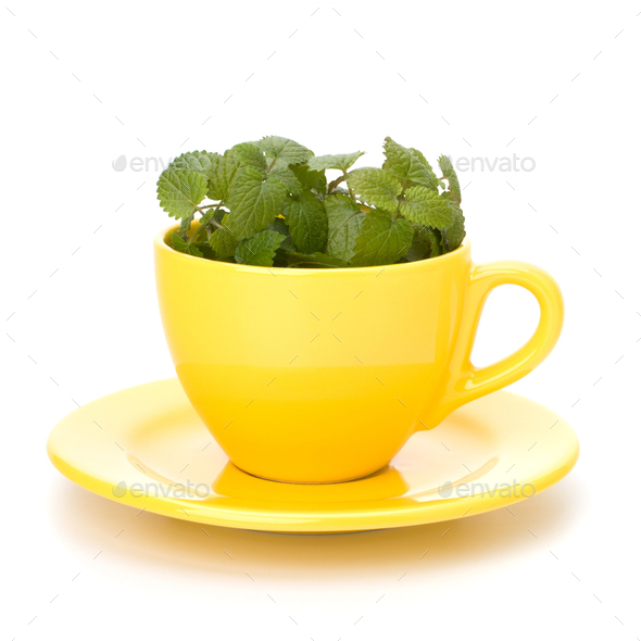 Herbal peppermint tea cup Stock Photo by natika | PhotoDune