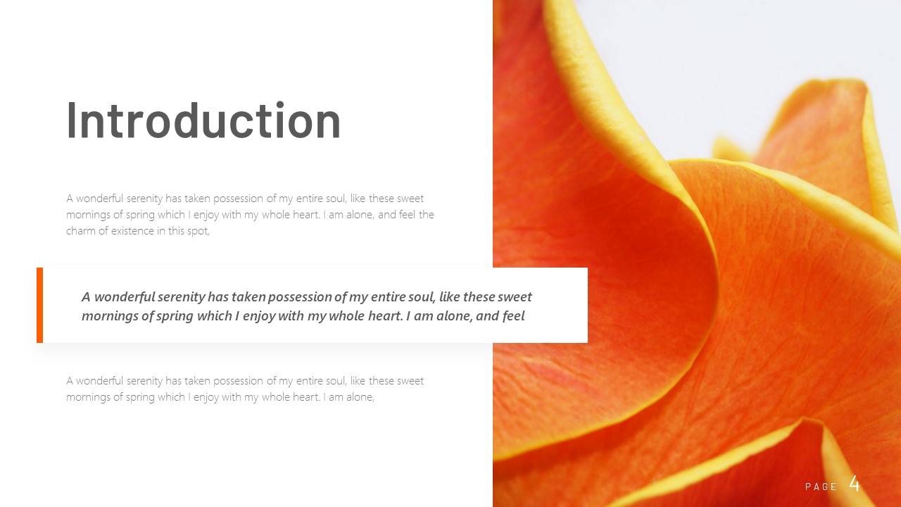 Pivot Minimalist PowerPoint Template by RRgraph | GraphicRiver