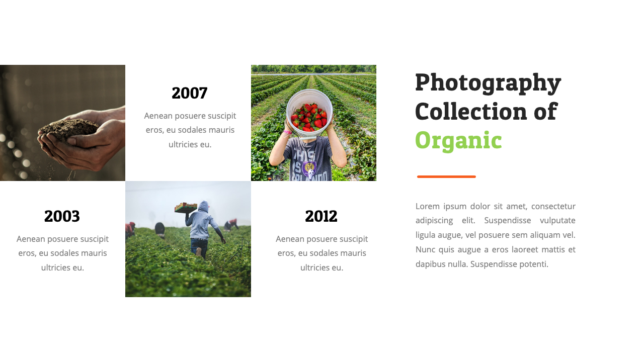 Organic - Fruit & Vegetable PowerPoint Presentation Templates ...