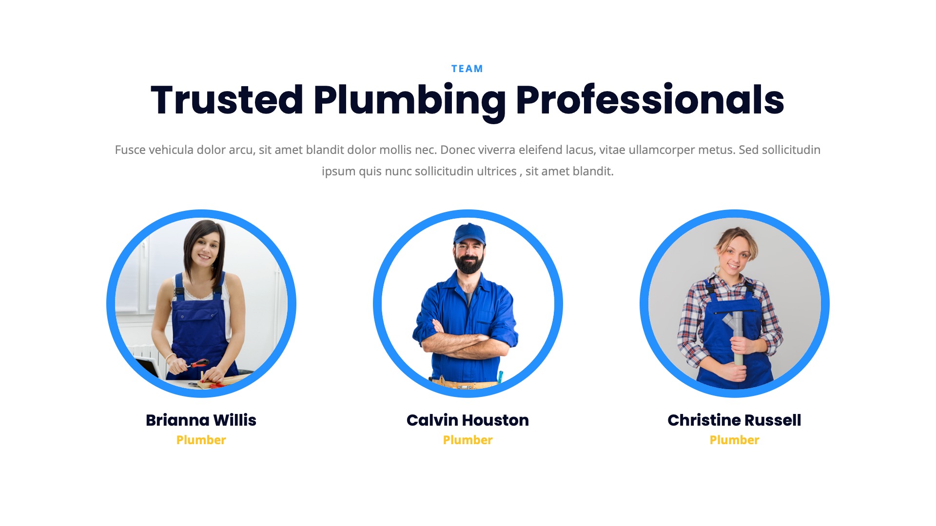 Plumbrio - Plumbing & Services Powerpoint Template, Presentation Templates