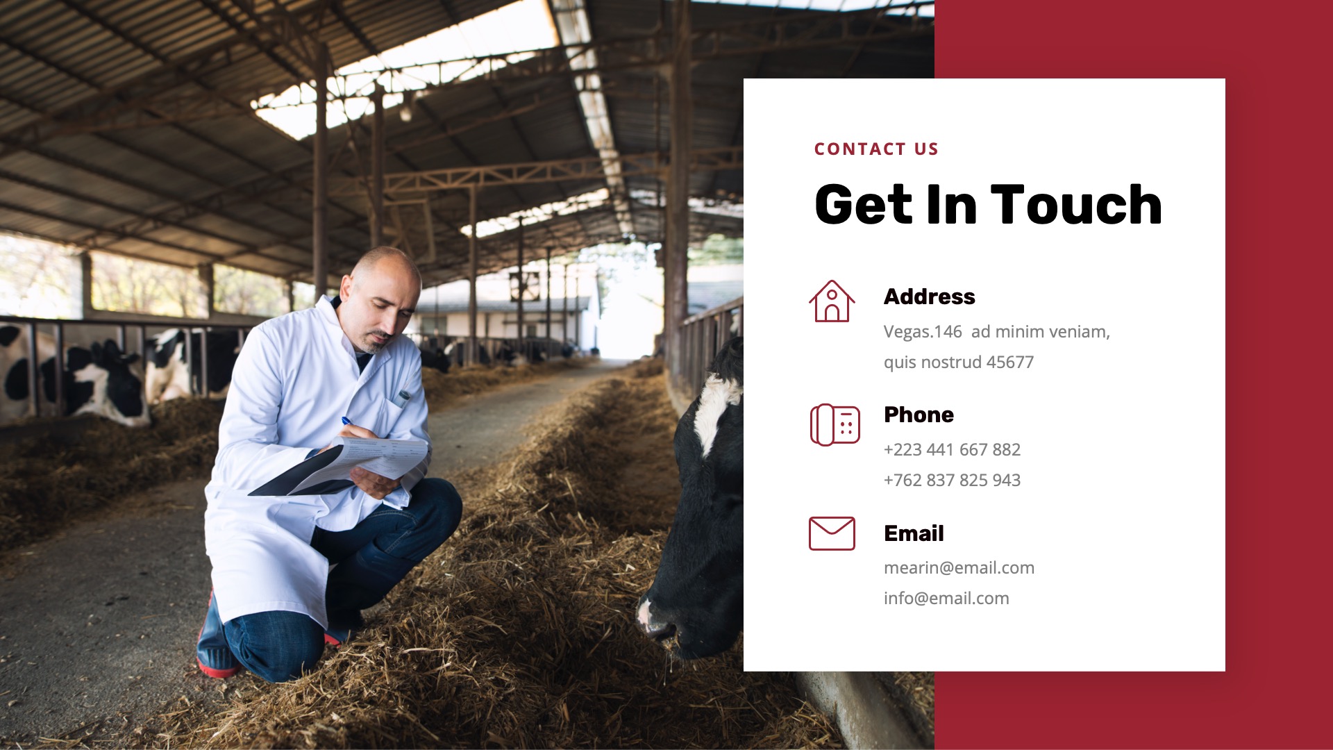 MEARIN - Butcher & Meat Farm Powerpoint Template, Presentation Templates