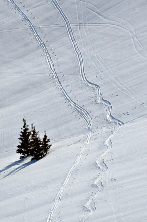 Snow background with ski and snowboard tracks Stock Photo by salajean