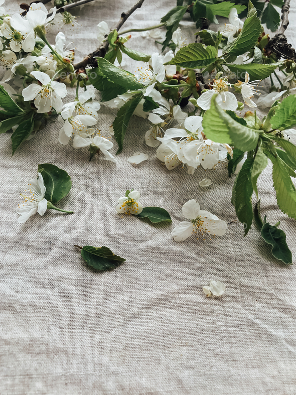 Spring flowers on rustic linen fabric. Hello spring and Happy Easter ...