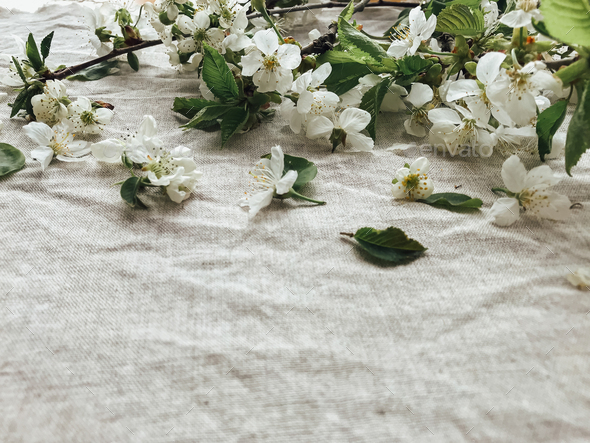 Spring flowers on rustic linen fabric. Hello spring and Happy Easter ...
