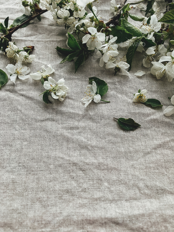 Spring flowers on rustic linen fabric. Hello spring and Happy Easter ...