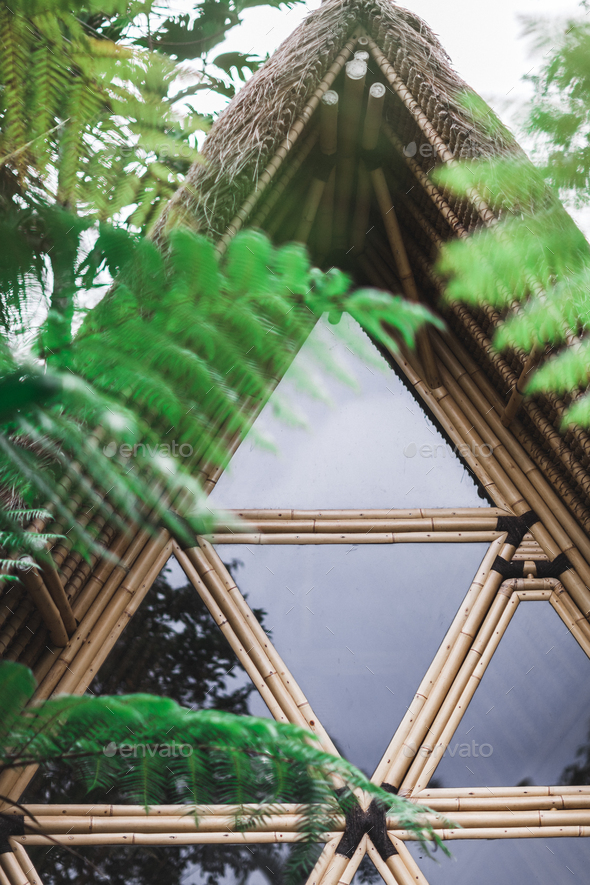 Bamboo house with a triangular roof and panoramic windows, modern eco ...