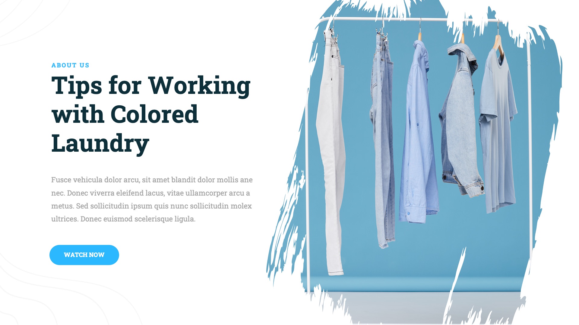 Laura - Laundry & Dry Cleaning Service Powerpoint Template ...