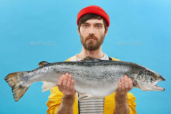 Horizontal portrait of successful angler with beard holding huge fish ...