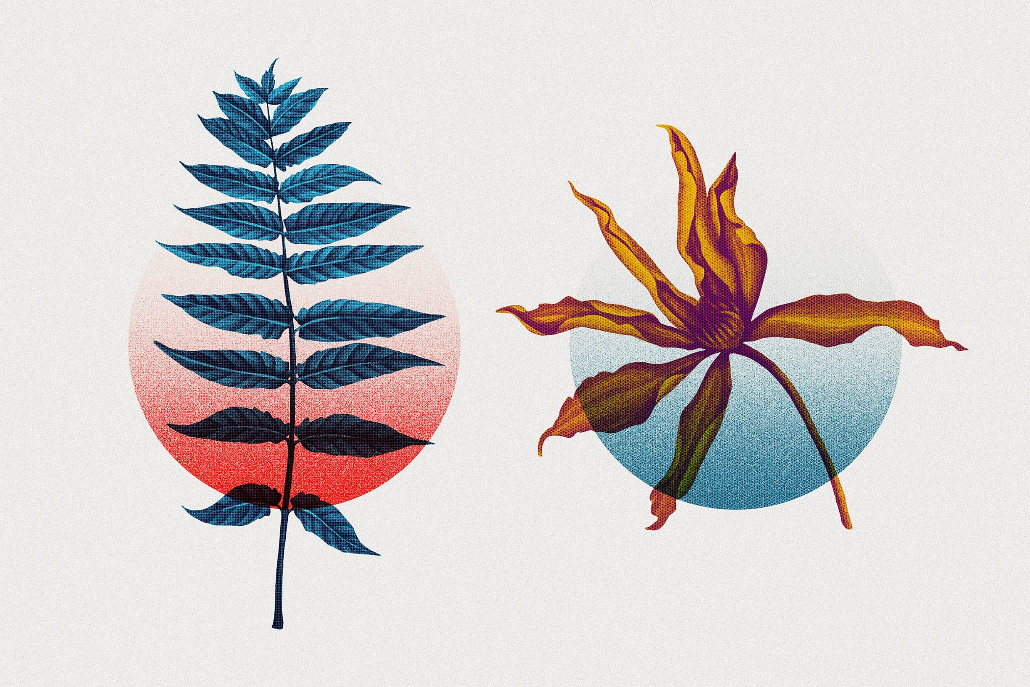 Risograph Double Exposure Effect, Add-ons | GraphicRiver