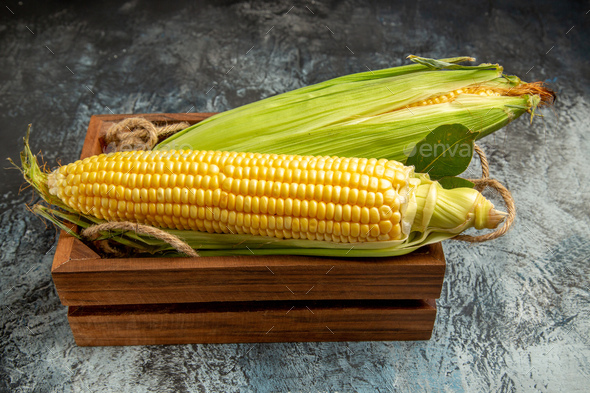 front view fresh raw corn yellow plant inside box on a dark-light ...