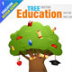 Education tree, Vectors | GraphicRiver