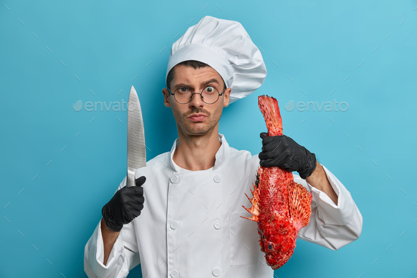 Experienced chef cook in white uniform holds sea bass and sharp knife ...