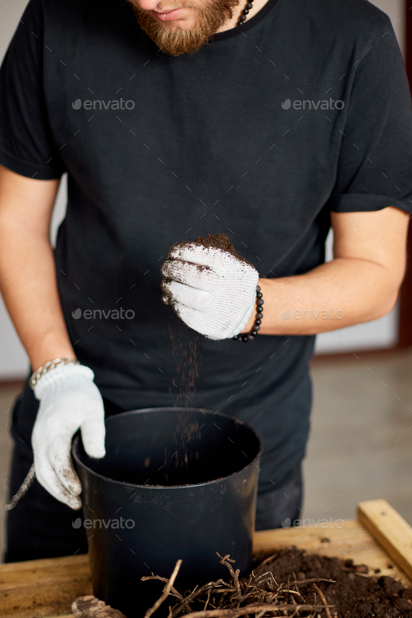 Man put soil in black pot on wooden table , transplant indoor plants ...