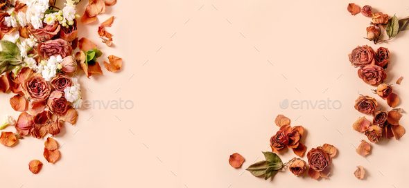 Creative layout with flowers Stock Photo by NatashaBreen | PhotoDune