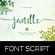Jandle Script, Fonts | GraphicRiver