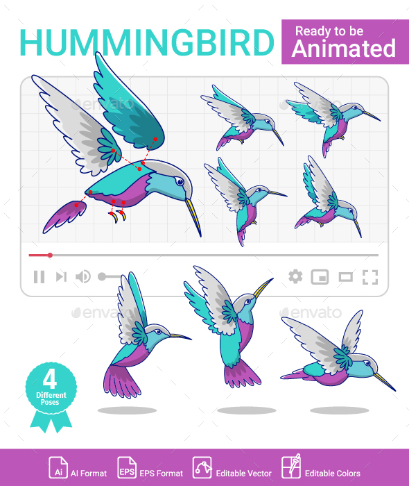 Hummingbird Cartoon, Vectors | GraphicRiver