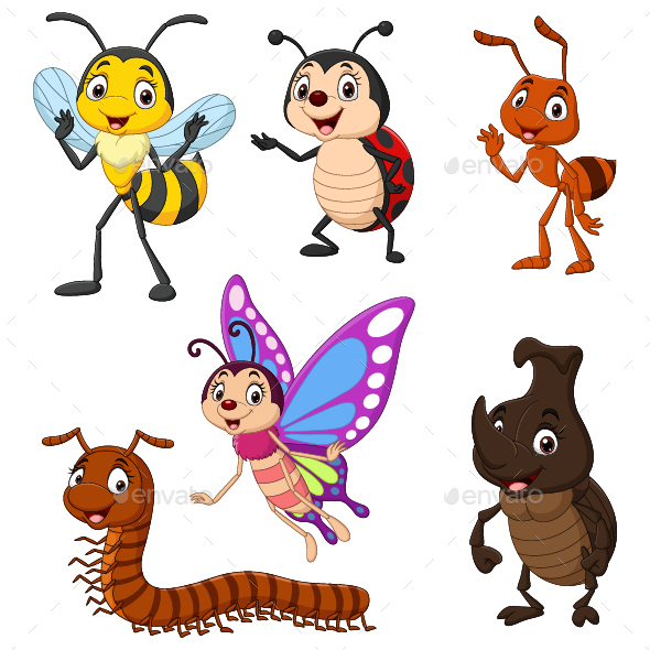 Set of Six Cartoon Insect Character, Vectors | GraphicRiver