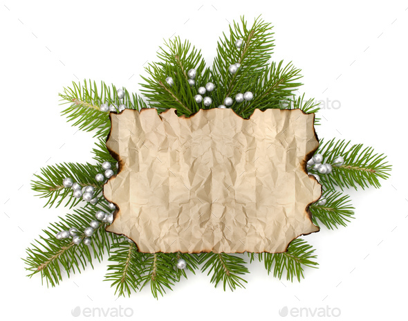Old parchment paper with copy space on Christmas tree branch background ...