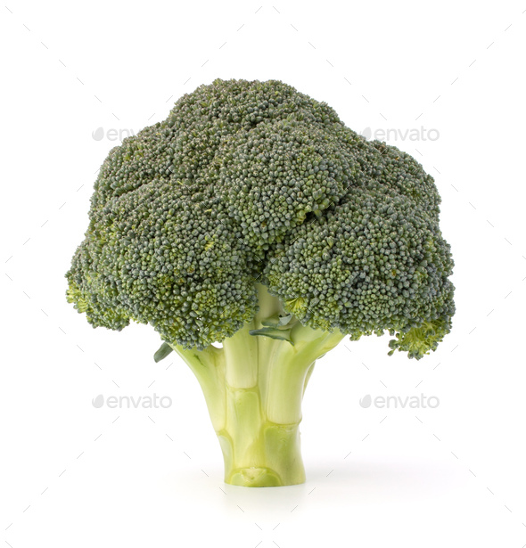 Broccoli vegetable Stock Photo by natika | PhotoDune